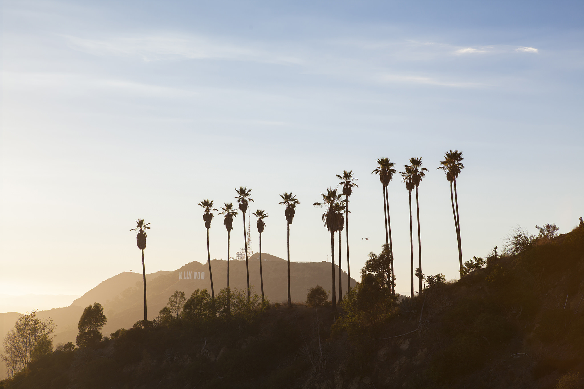 10 Ways To Enjoy Summer in Los Angeles – Saucey Blog