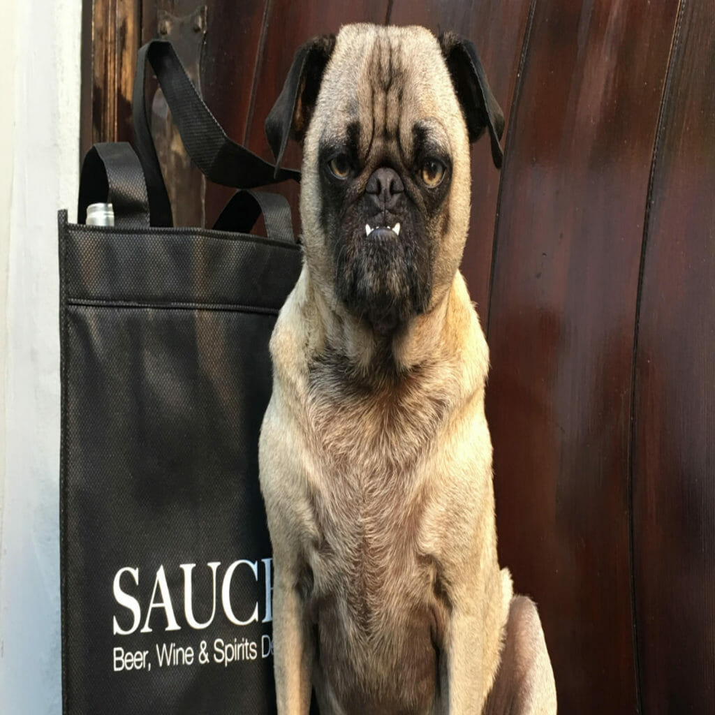 How much alcohol should you order for a party? | Saucey