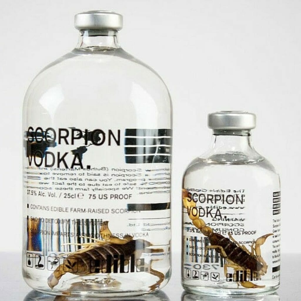 Scorpion Vodka - YES it's a thing – Saucey Blog
