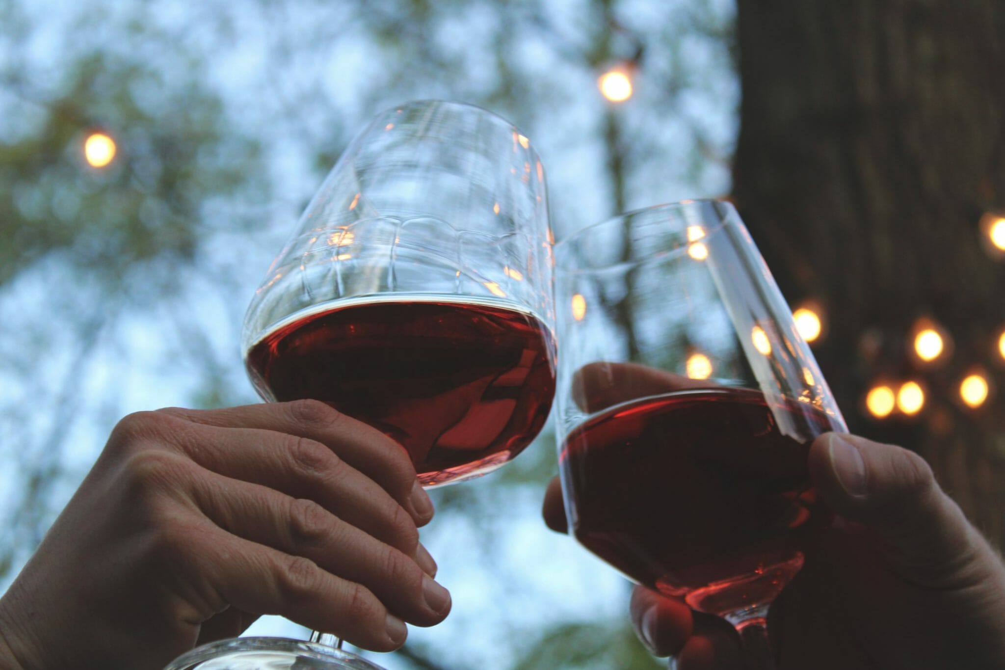 Red Wine: Understanding The 8 Most Common Varietals | Saucey Blog