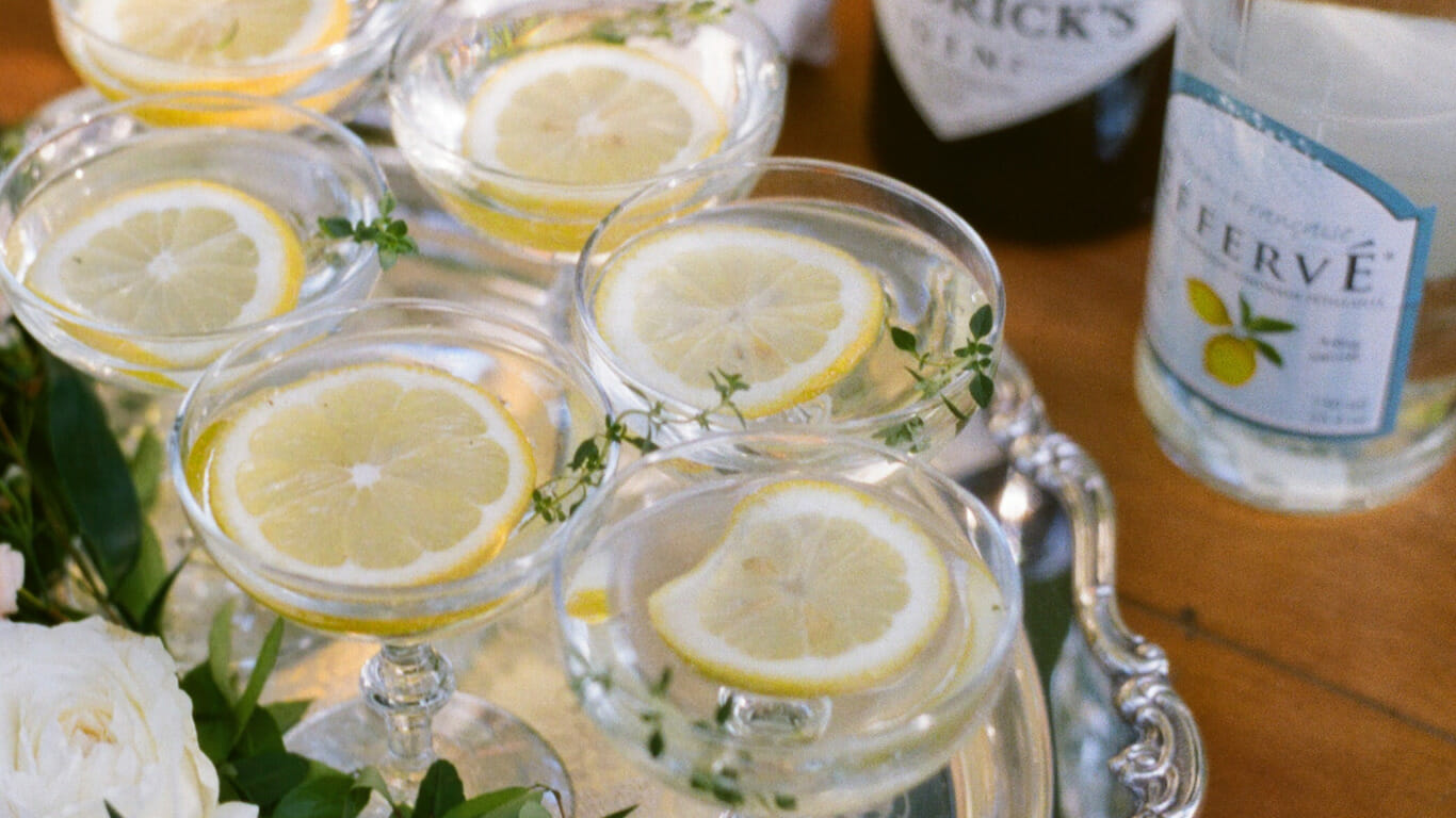 Gimlet Recipe: A Classic Gin Cocktail – Saucey Blog