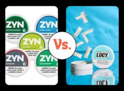 Is ZYN Bad For You? | ZYN vs. Snus, Cigarettes, and Vapes – Saucey Blog