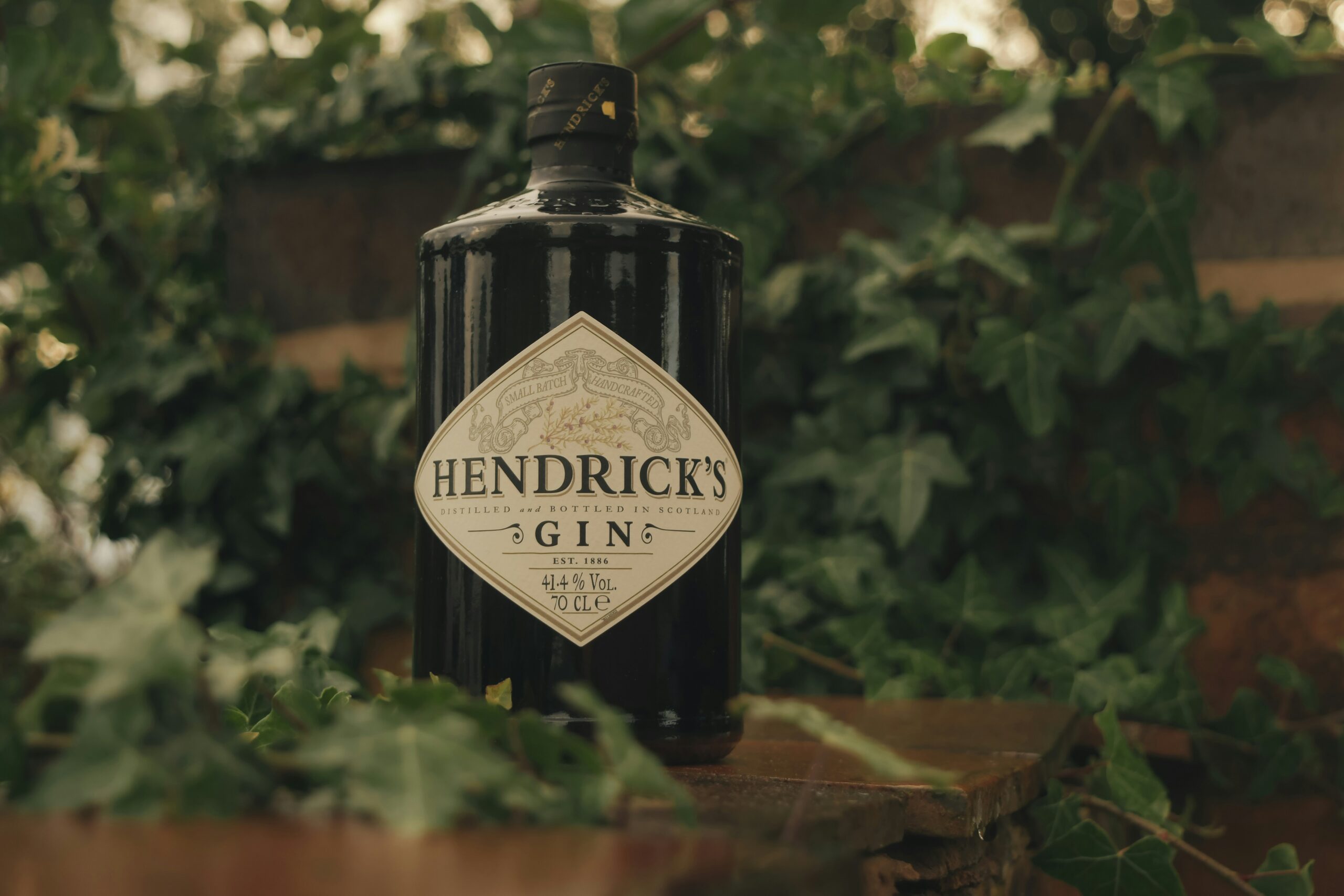 What to Mix with Hendrick's Gin – Saucey Blog